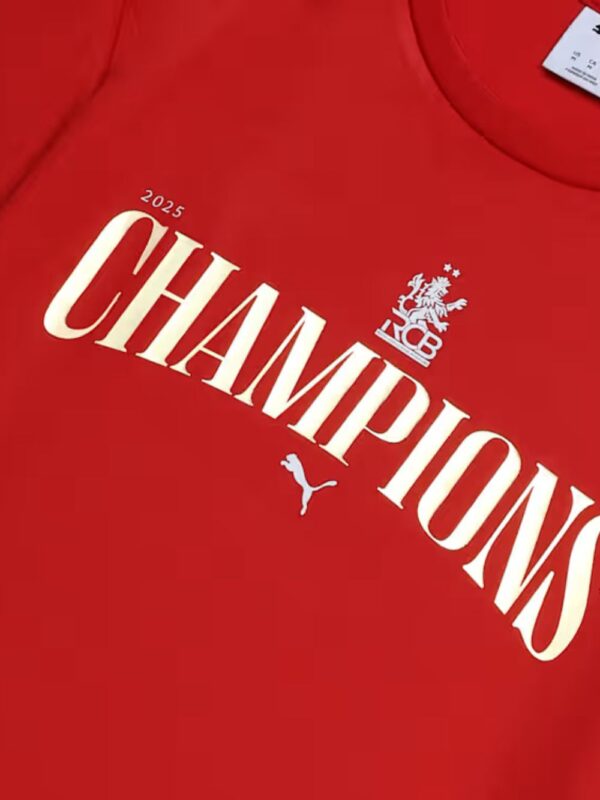 RCB Champions T Shirt 2026 - Two Stars - TEEHUB
